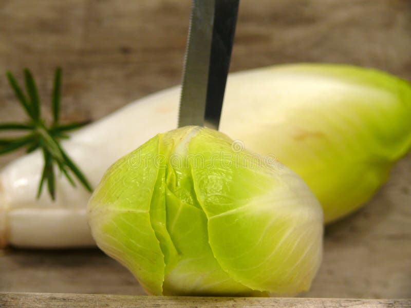 Chicory stock image. Image of knives, plant, vegetarian - 48948553