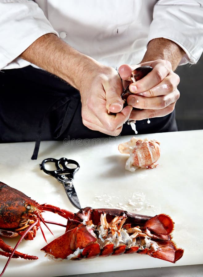 Chief Opening Boiled Lobster Stock Photo - Image of seafod, chef: 9567246