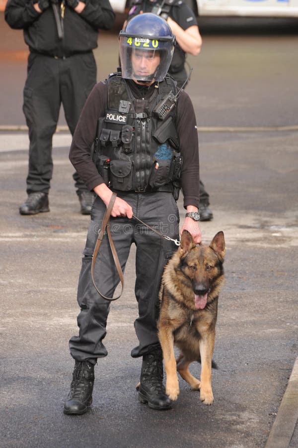 Chien Policier Dans L'action Photo éditorial - Image du croc ...