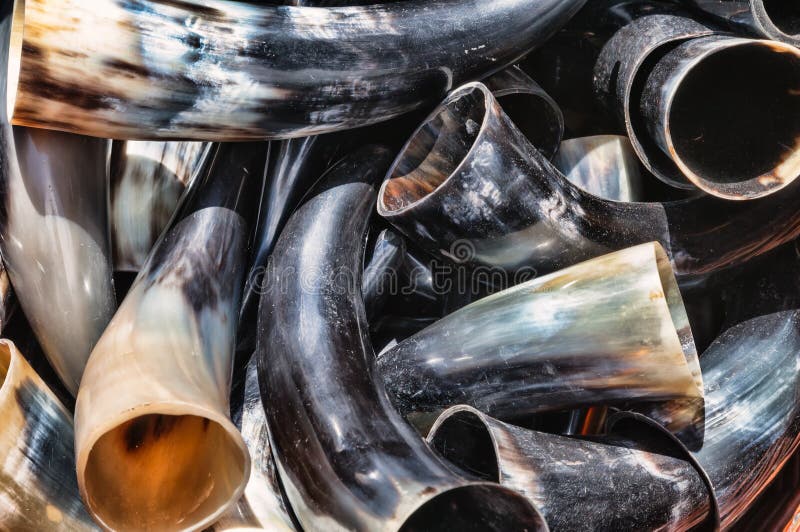 Chifre Da Cerveja Feito Do Chifre Da Vaca Foto de Stock - Imagem de ...