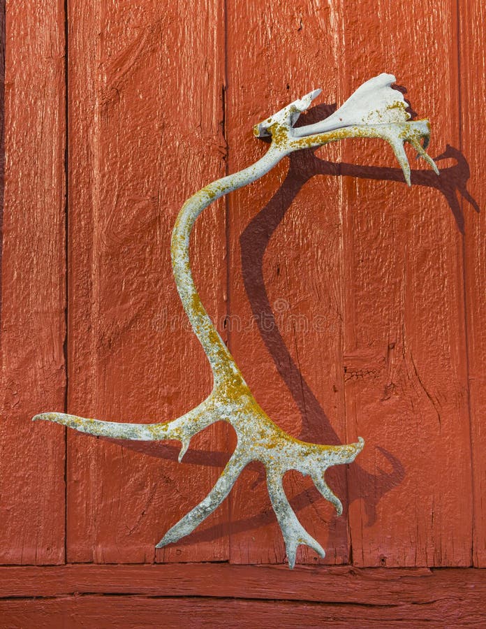 Chifre da rena imagem de stock. Imagem de silhueta, cabine - 54312757