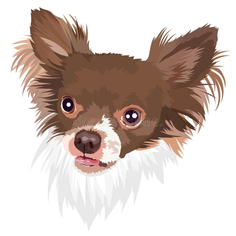 Chihuahua Dog Vector Portrait Illustration Stock Vector - Illustration ...