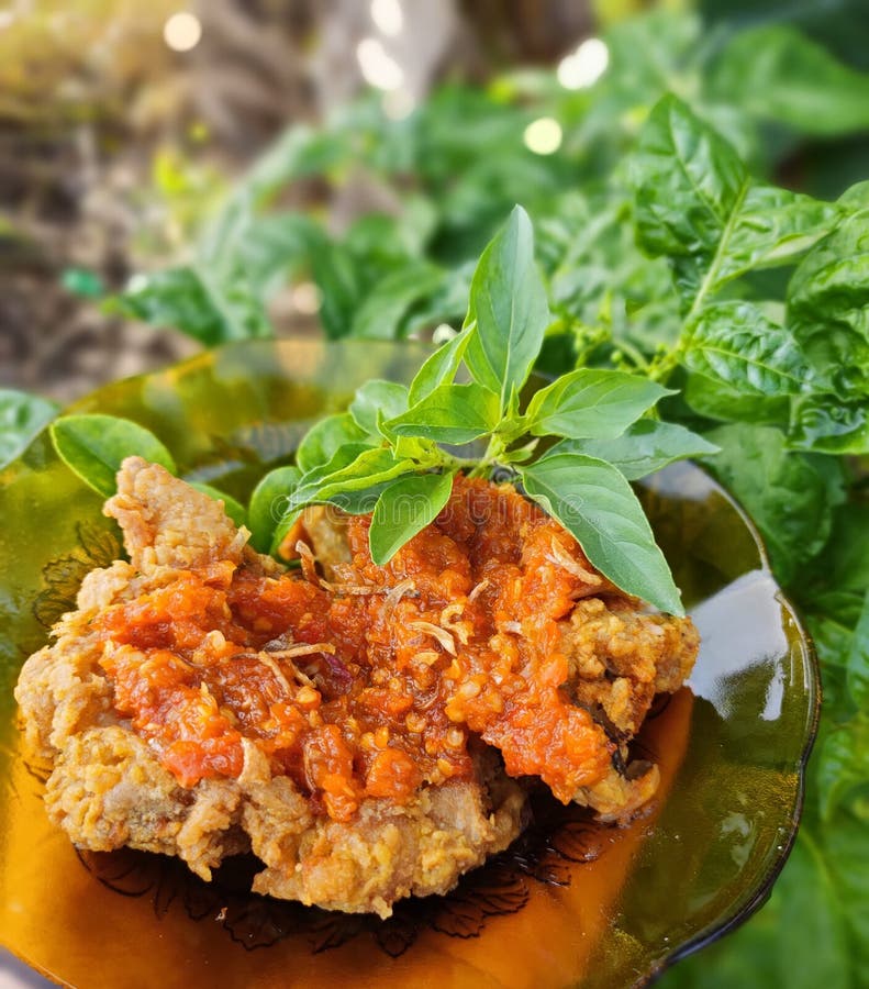 Chiken spicy of Indonesia stock image. Image of spicy - 262038565