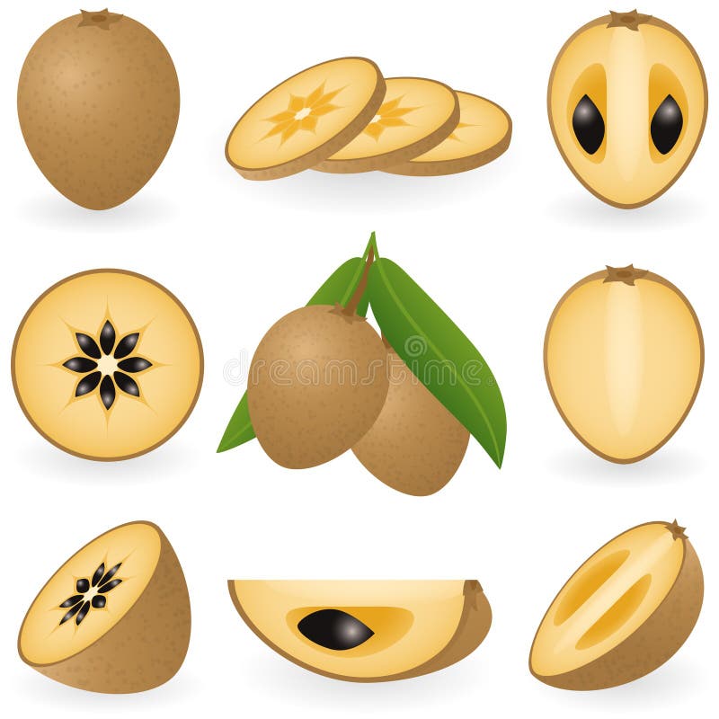 Colorful Condiments and Spices Set Stock Vector - Illustration of leaf ...