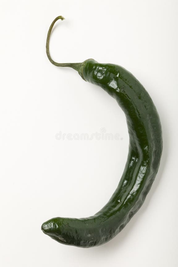 Chilaca Chili Pepper stock photo. Image of flavour, capsicum - 9237996