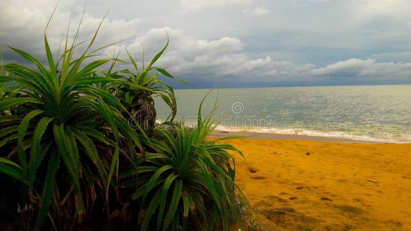 104 Chilaw Stock Photos - Free & Royalty-Free Stock Photos from Dreamstime