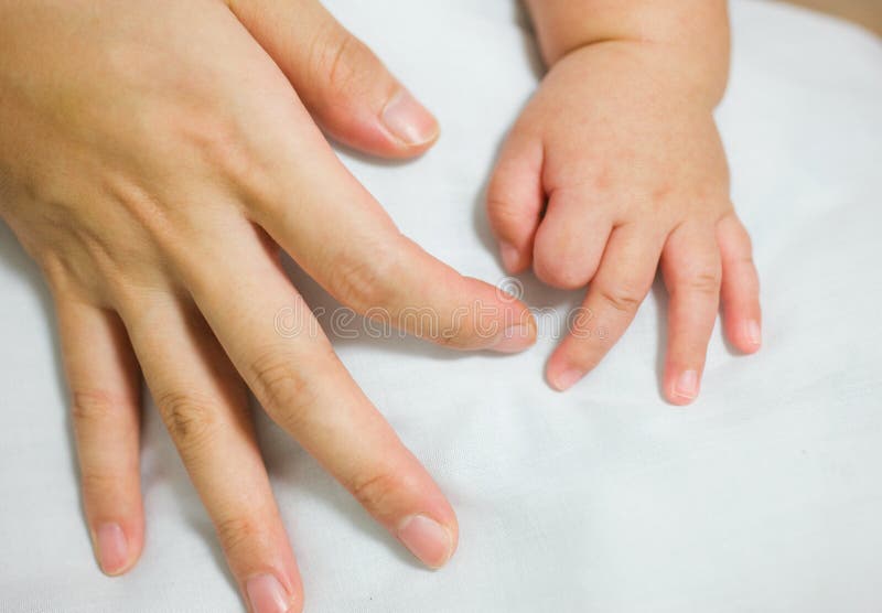 Child and adult hands stock photo. Image of cradling - 14992776