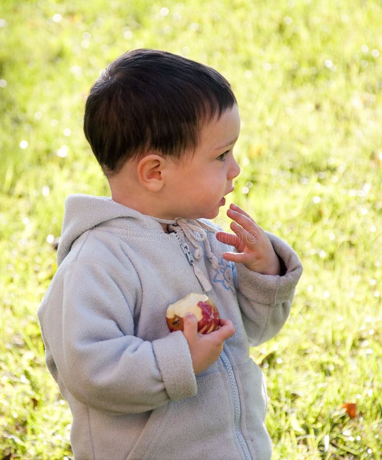 Child with apple stock photo. Image of grass, little - 16589954