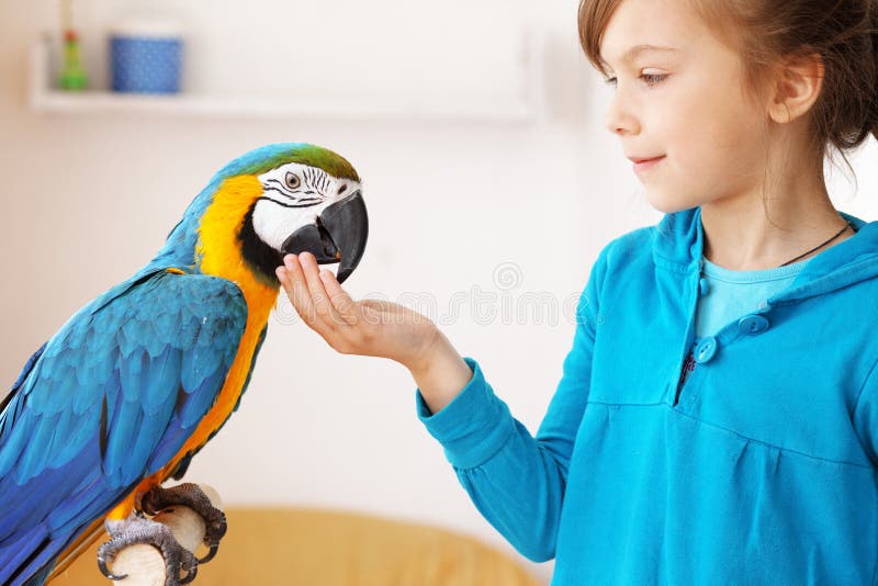 Child with ara parrot stock image. Image of daughter - 24879513