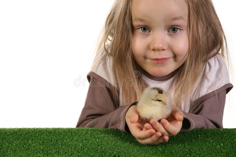 Child and chicken stock image. Image of yellow, bird, baby - 4346905