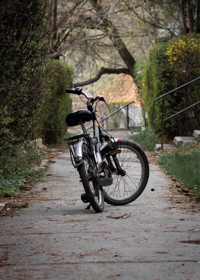 Child Bicycle Left on the Road in a Park Stock Photo - Image of left ...