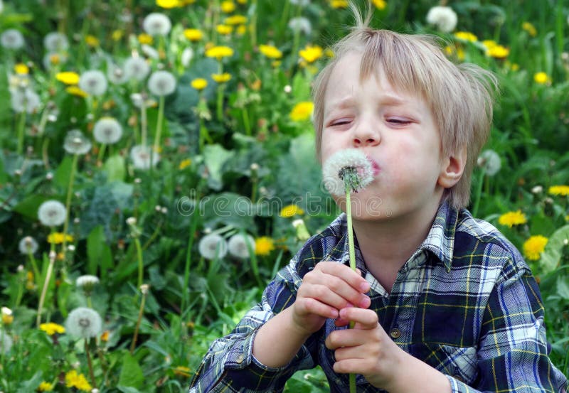 Child Blowing Dandelion. Boy in the Meadow with Dandelion. Copy Space ...