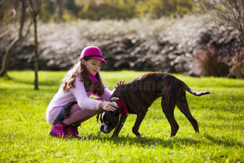 538 Boxer Female Small Stock Photos - Free & Royalty-Free Stock Photos ...