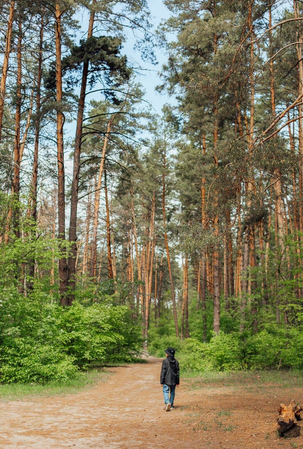 Child Boy Forest Alone Looking Path Outside Stock Image - Image of leaf ...