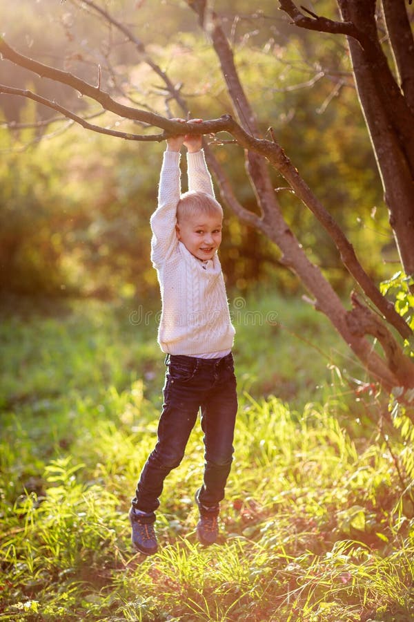 Kid Boy Playing among Tree Branches Stock Image - Image of garden, cute ...