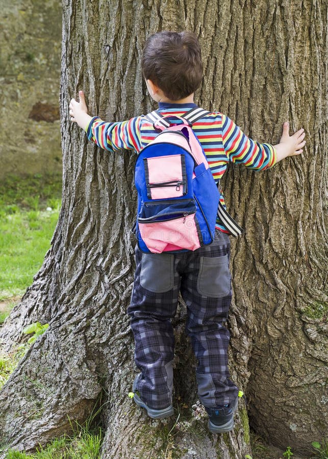 Child Boy Hugging Tree Trunk Stock Photo - Image of children, forest ...