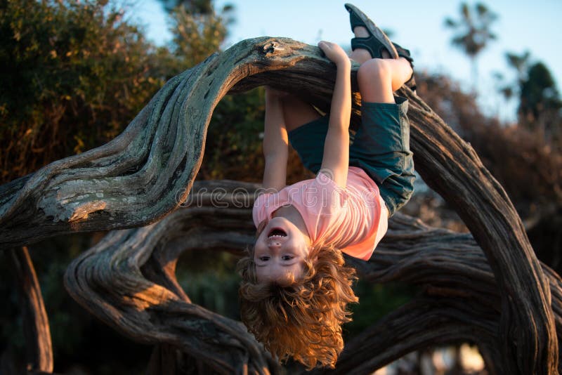 Child Boy in Park, Climb on a Tree Rope. Stock Photo - Image of ...