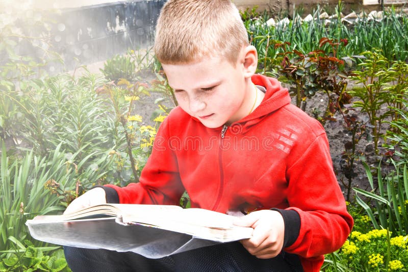 Child Boy Reading Book at the Garden, Student Studying in Park Stock ...
