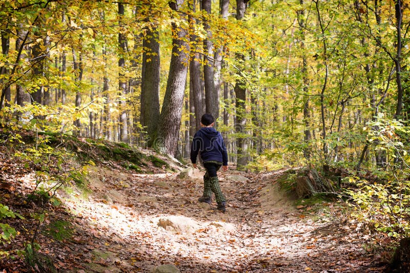 Child walking in a forest stock image. Image of forest - 104266181