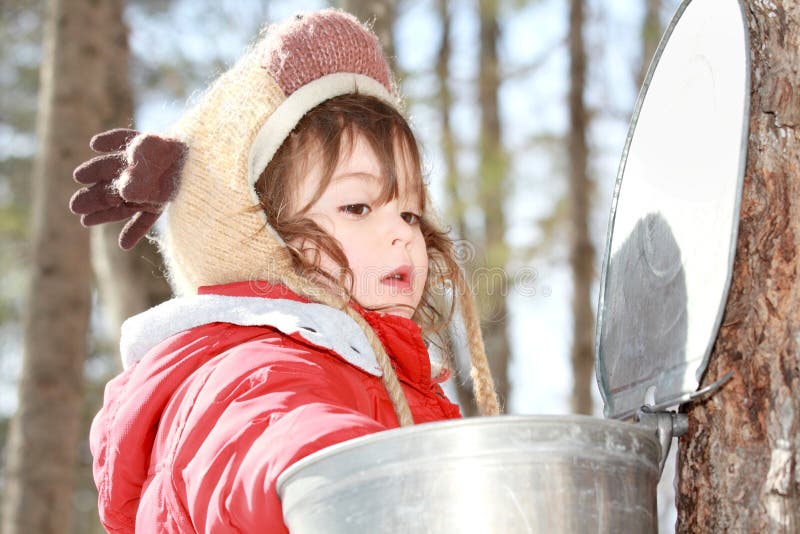 Syrup stock image. Image of outdoor, maple, child, youth - 29949703