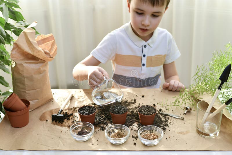Kids Planting Seeds In Cups