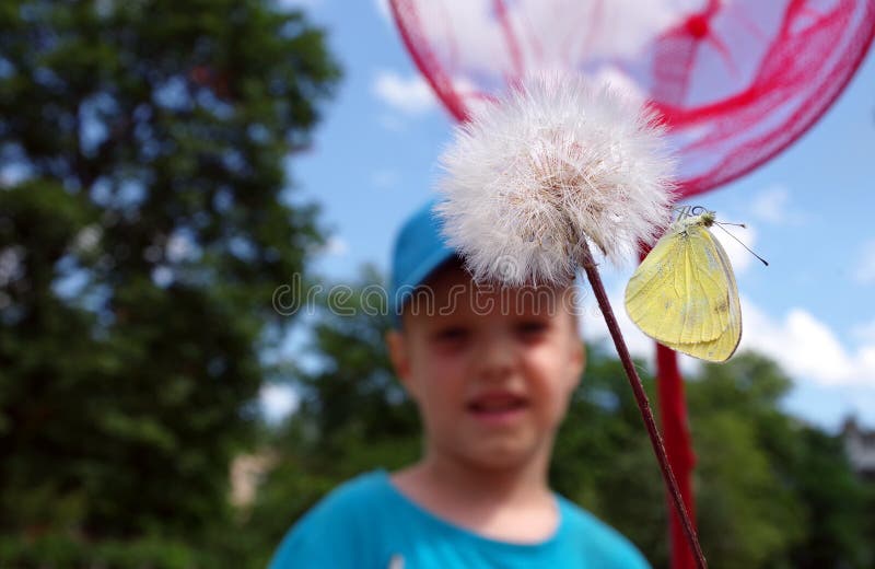Child and Butterfly. Boy Catches a Butterfly with a Butterfly Net ...