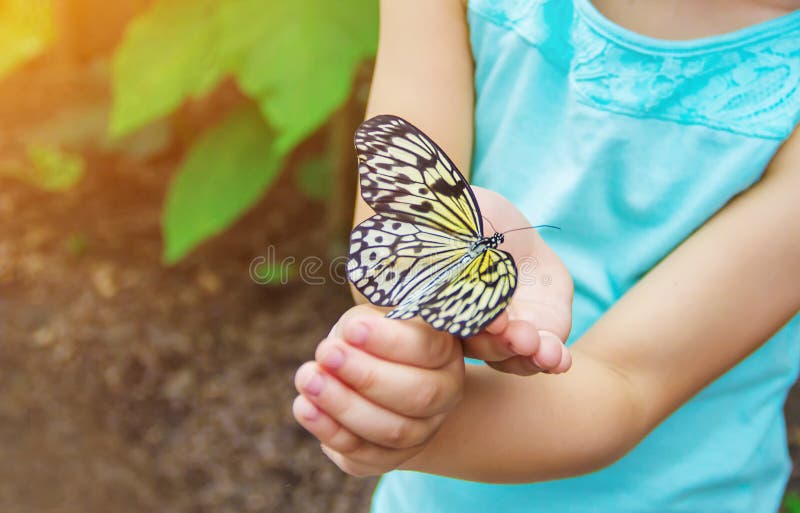 Child with a butterfly. stock image. Image of butterfly - 118360109