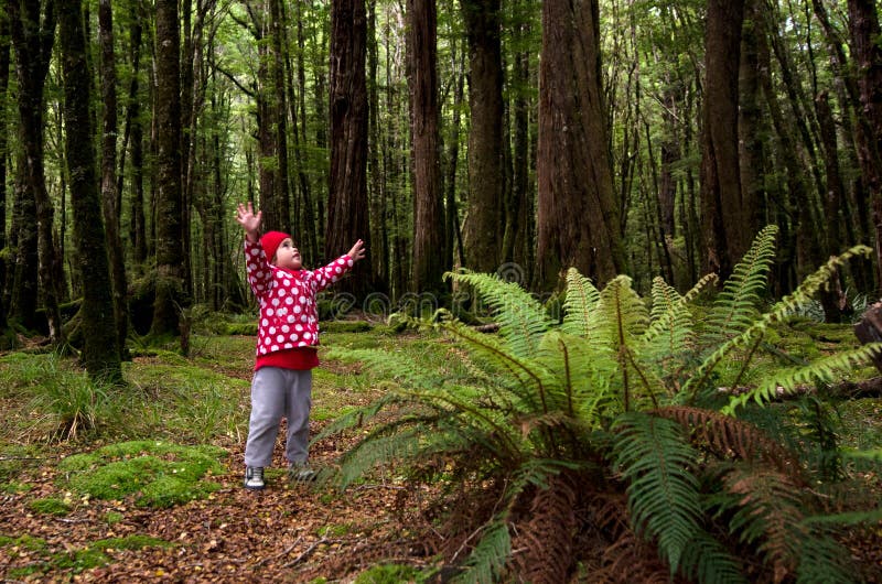 Child call for help stock image. Image of explore, courage - 37922411