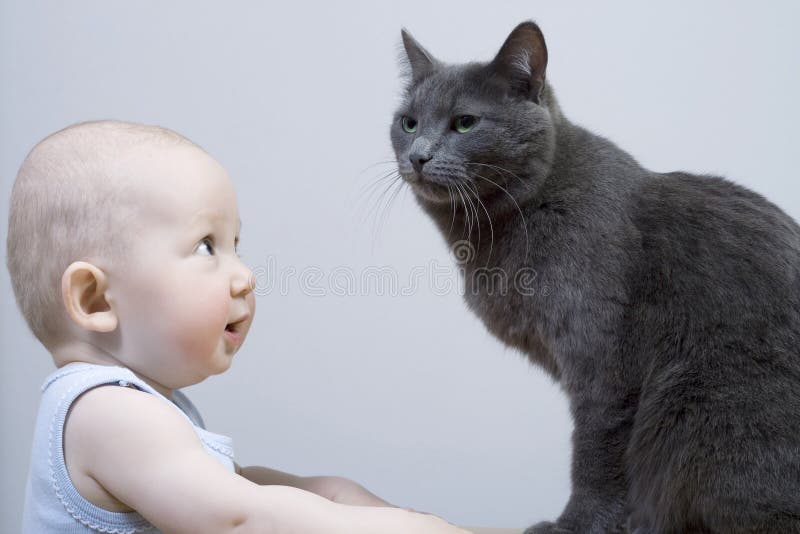 The child and cat stock image. Image of expression, childhood - 11653117