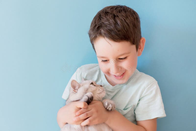 Child and Cat on Blue Background Stock Image - Image of british ...