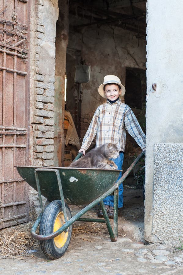 Child Transports a Cat in a Barrow Stock Photo - Image of straw, shirt ...