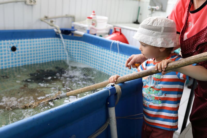 Child Catching Fish Netting Stock Photo - Image of discovery, activity ...