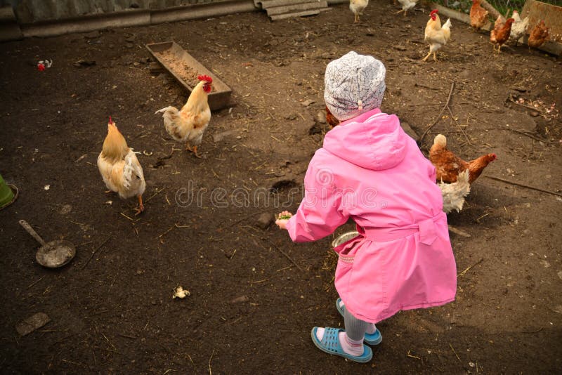 Child and chicken stock image. Image of females, child - 90829297