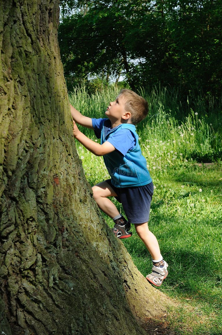 11,298 Child Climbing Tree Stock Photos - Free & Royalty-Free Stock ...