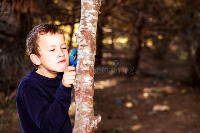 Child Closely Observes the Trunk of a Sick Tree with a Magnifying Glass ...