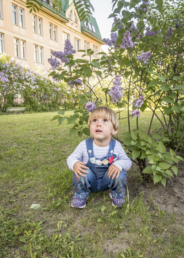 The Child Hiding Under a Flowering Bush Looks Up in Surprise Stock ...