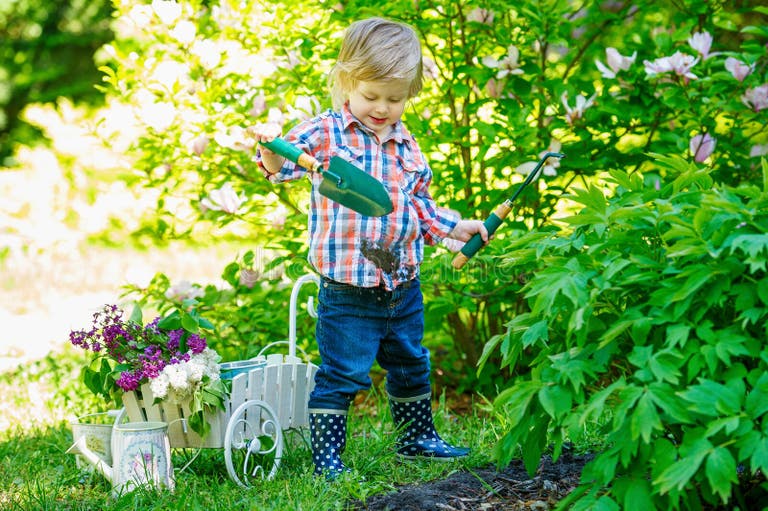 Child Digging in the Garden Stock Photo - Image of equipment, bloom ...