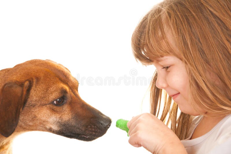 Child and Dog, Socializing and Learning Stock Photo - Image of animal ...