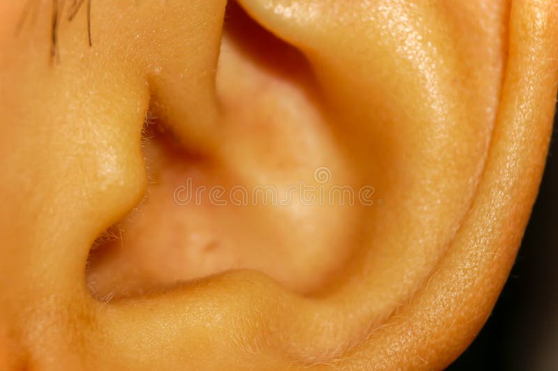 Child ear stock image. Image of body, child, close, childhood - 87953773