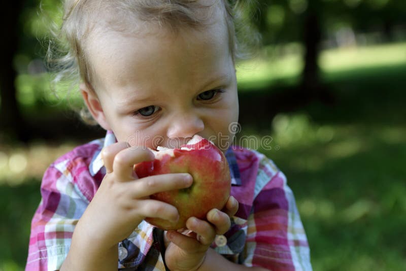 Child eating apple stock photo. Image of food, concept - 75548256