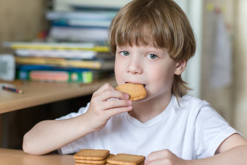Child eating cookies stock image. Image of person, portrait - 86499823
