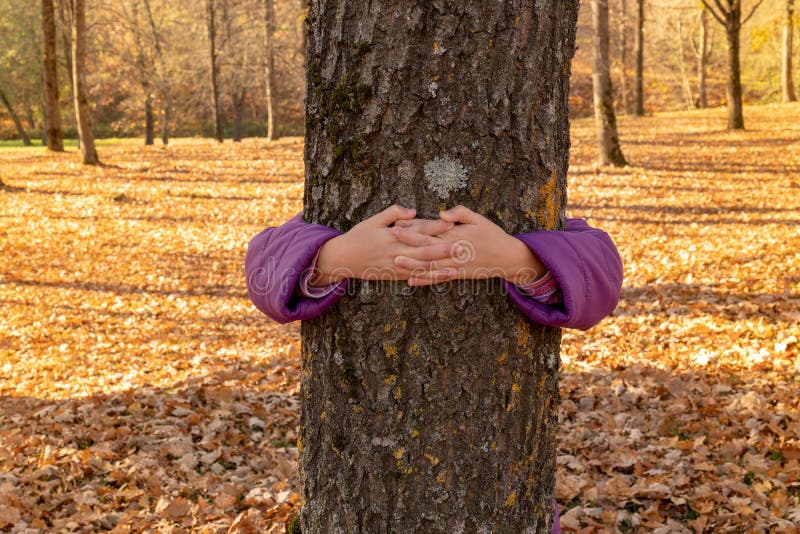 Child embracing tree trunk stock image. Image of park - 129652557