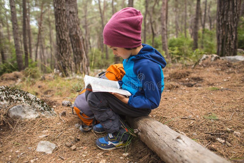 A Child is Exploring the Forest Stock Image - Image of hike, hiking ...