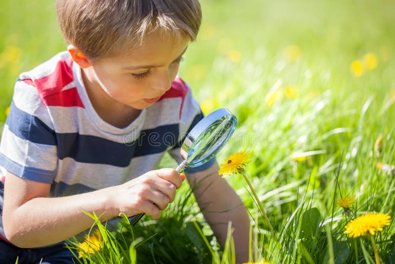 Child exploring nature stock photo. Image of education - 53446230 Child exploring nature stock photo. Image of education - 53446230