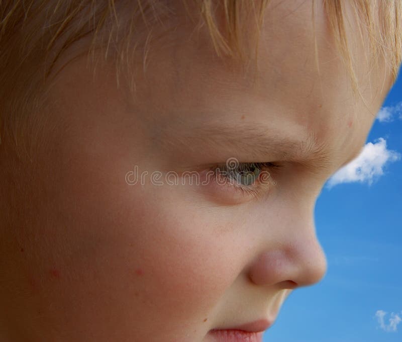Child eye stock photo. Image of funny, glare, dreams, iris - 1732570
