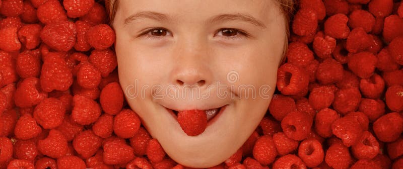 Raspberry Frame stock photo. Image of freshness, ingredient - 7859454