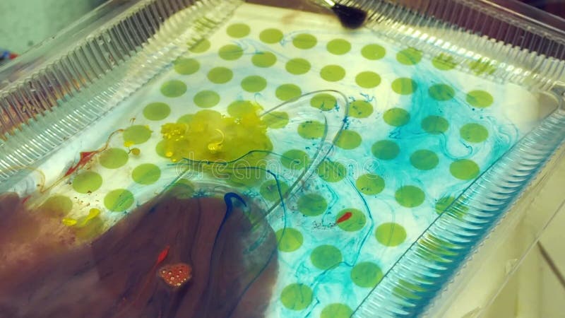 Child with Father Making Marble Patterns with Paint and Brush on Water ...