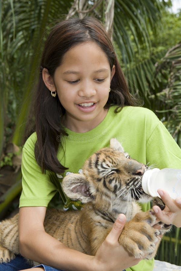 Child feeding baby tiger stock image. Image of person - 4997025