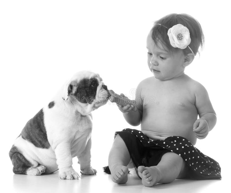 Child feeding the dog stock photo. Image of friendship - 59840176