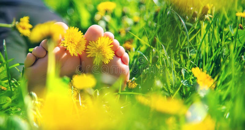 Child Feet on the Grass. Selective Focus Stock Photo - Image of kids ...